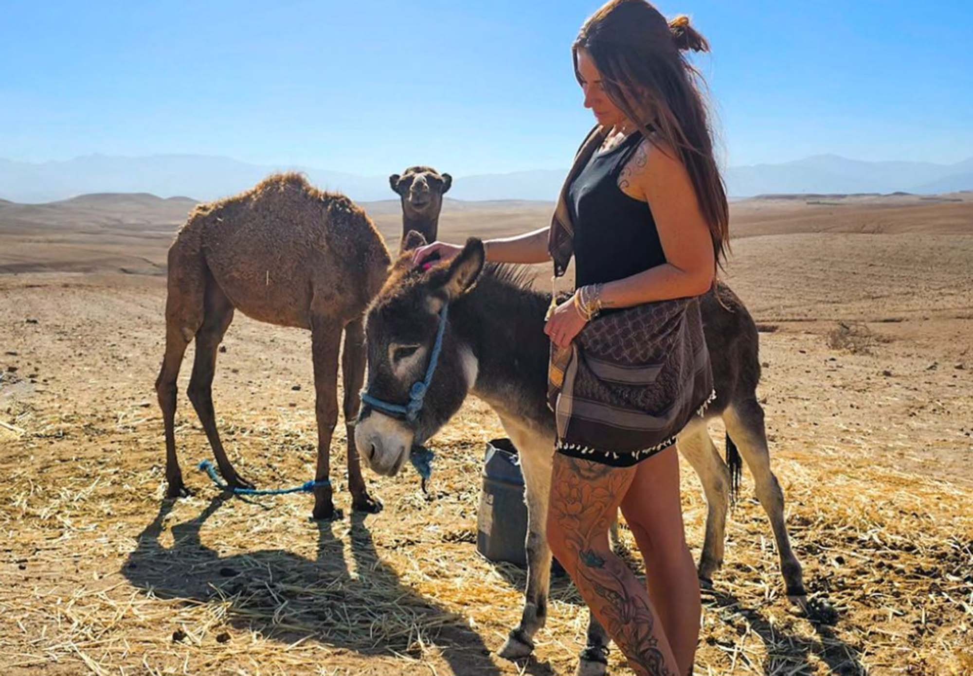 Exploring the Mysteries of Agafay: A Journey into the Desert – Culture ...